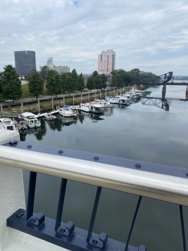 Pedestrian Bridge Highlight Page - Downtown Development Authority of ...